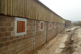 External Stable Windows | Stablesonline.co.uk