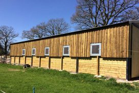 External Stable Windows | Stablesonline.co.uk